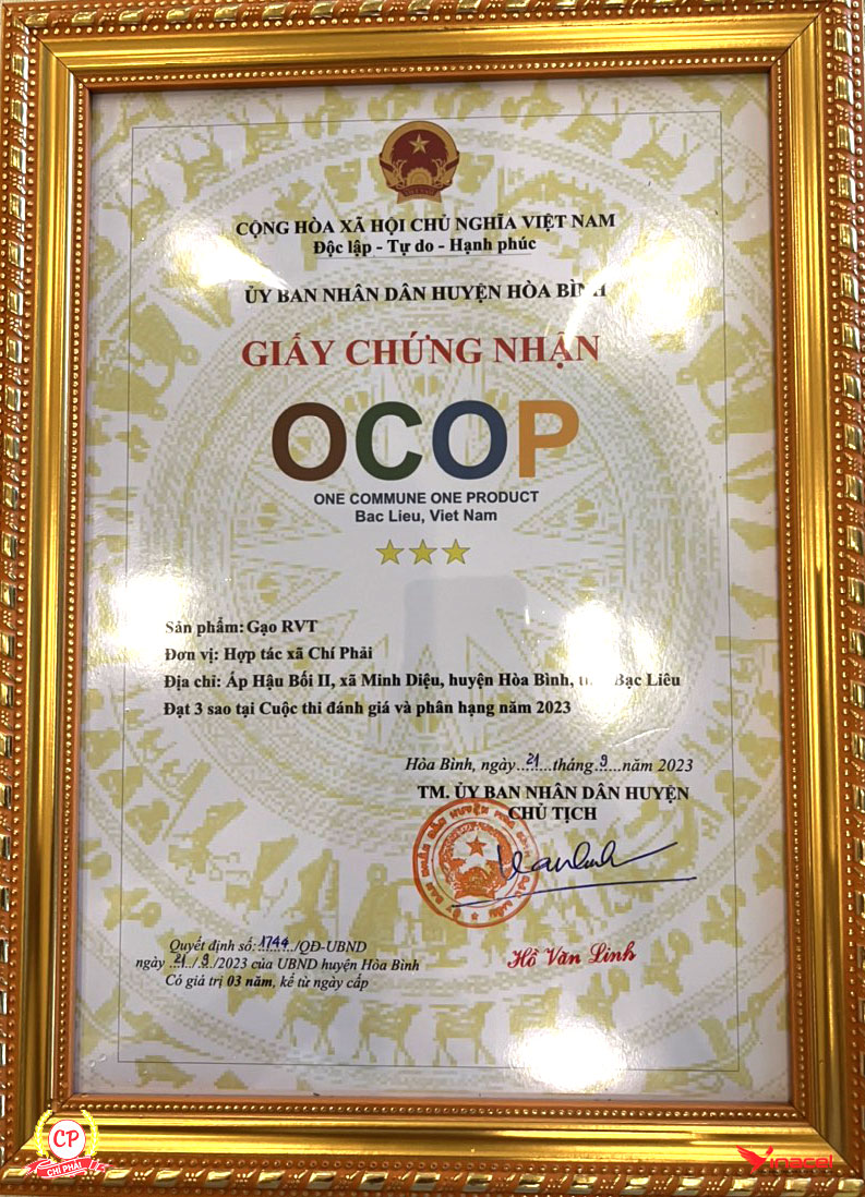 Gạo RVT Chí Phải Giá Sỉ