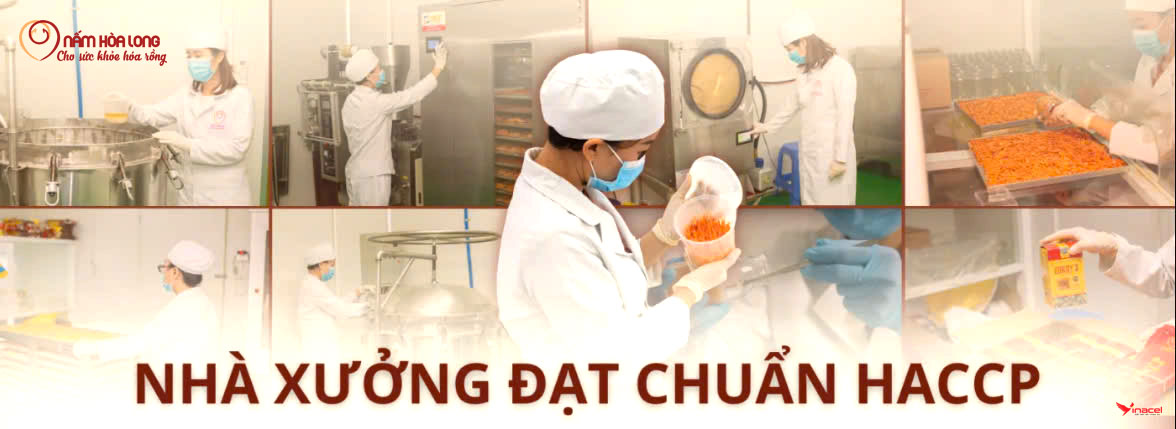 Viên Nang Đông Trùng Hạ Thảo CorTab Nấm Hoà Long Giá Sỉ