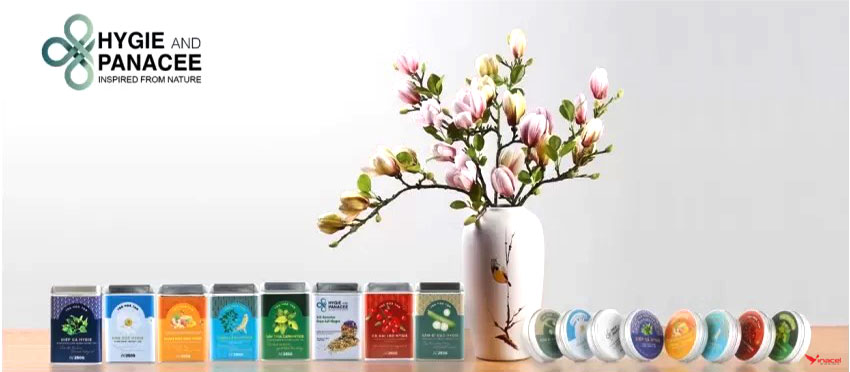 Dược Trà Hygie & Panacee Chính Hãng, Giá Sỉ
